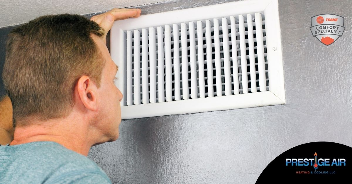 Spooky Things You’ll Find in Your Air Ducts